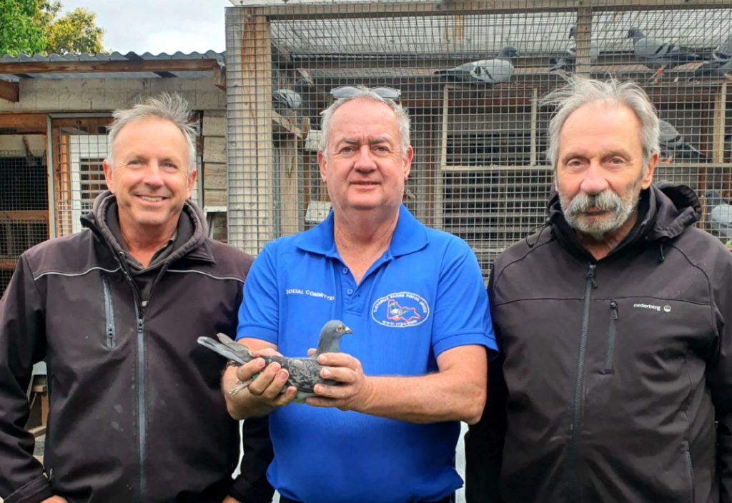 Federation Winners 2019 | Victorian Racing Pigeon Union